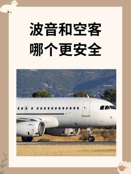 空客安全还是波音安全图标