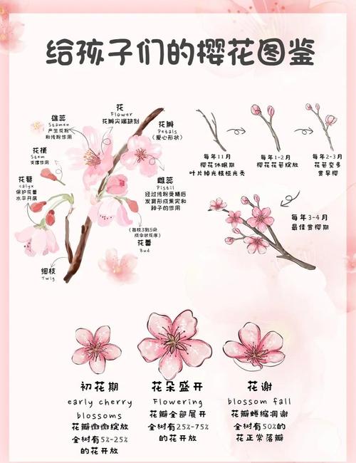 缘之空樱花动漫游戏截图