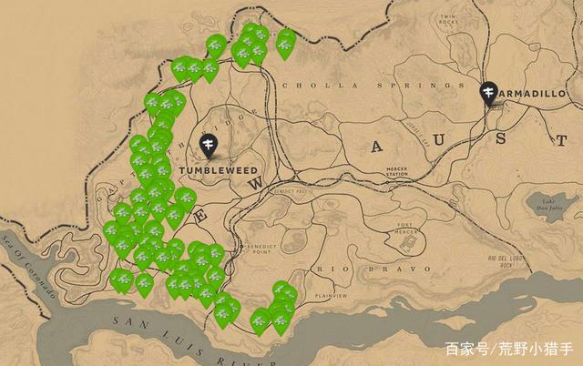 荒野大镖客2沙漠鼠尾草图标