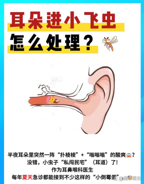 蚊子跑到耳朵里怎么办图标