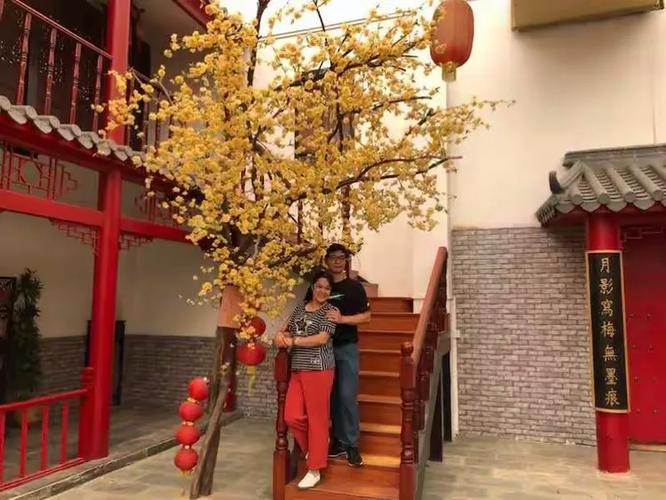 梅淑萍和天伦乐林的故事背景图标