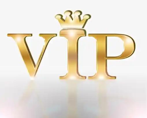 畅行无忧vip贵宾图标