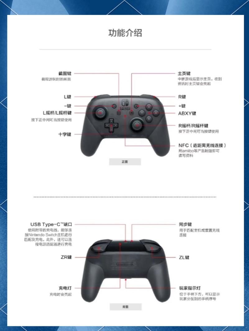pro手柄买日版还是国行图标