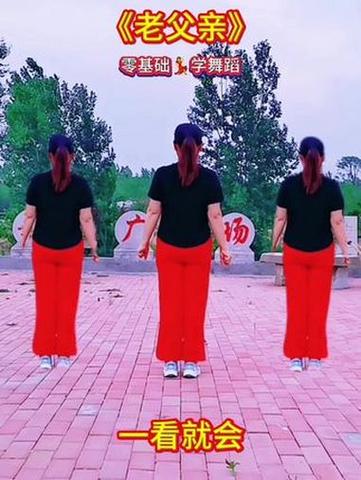 老年广场舞视频大全图标