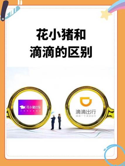 花小猪版本大全图标