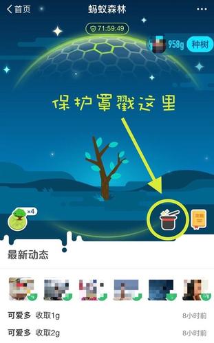 蚂蚁森林钻石保护罩怎么兑换图标