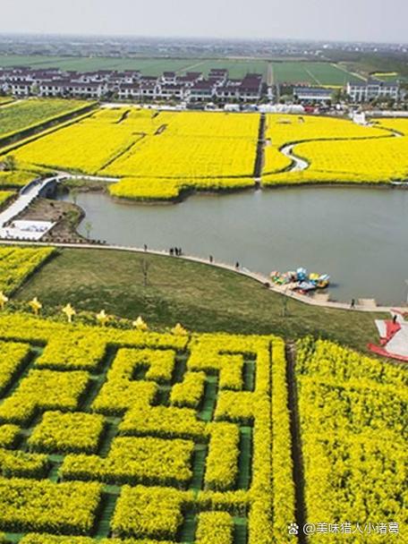 生态园区要进行展示的时候截图