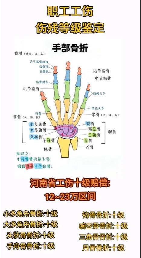 工伤伤残鉴定标准图标