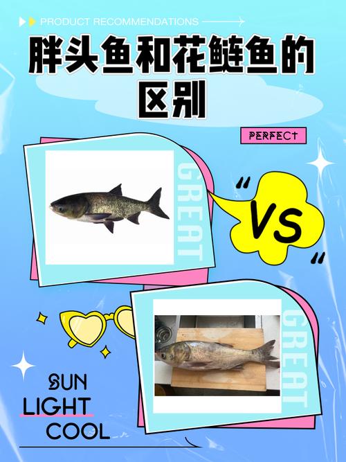 胖头跟花莲是不是一种鱼缩略图