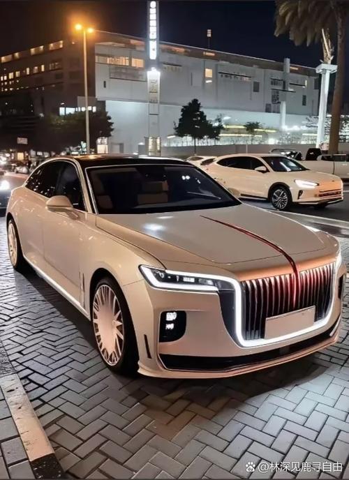 红旗车怎么开锁截图