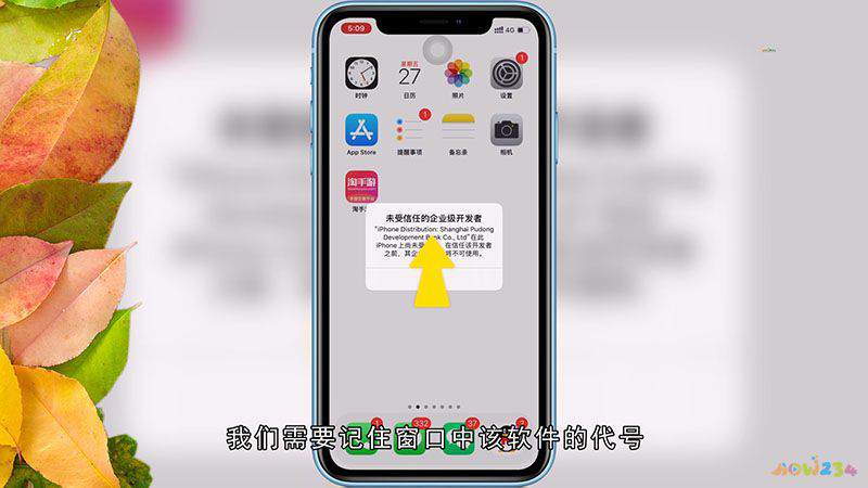 苹果手机怎么设置受信任app图标