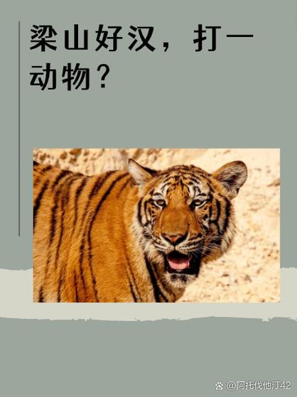 小打一动物图标