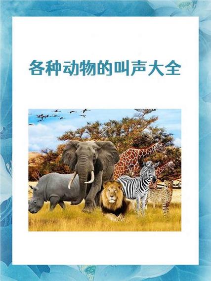 动物叫声大全截图