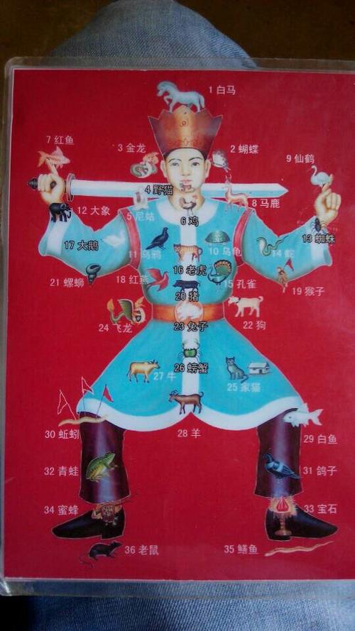 缅甸字花36动物破解规律图标