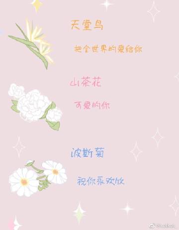 兔社区app图标