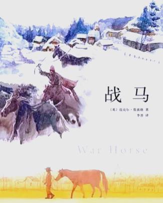 马场骑马小说