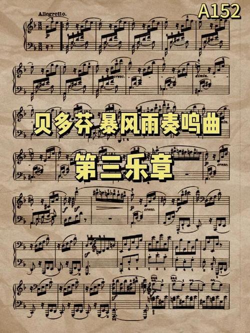 暴风雨3图标