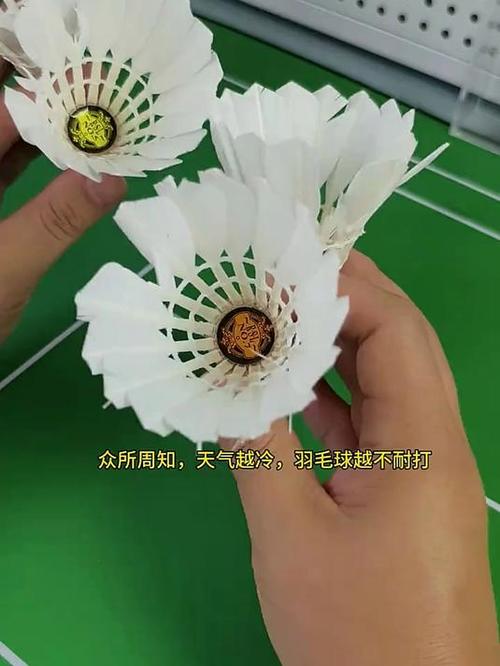 冬天羽毛球容易断毛截图