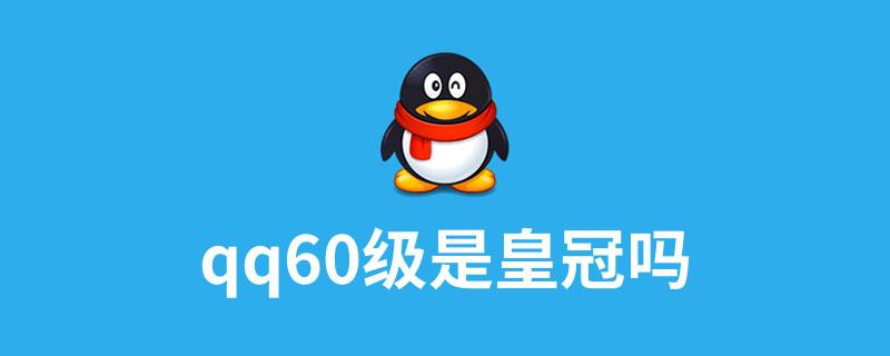 扣扣60级是什么标志截图