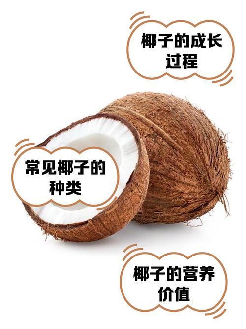 椰子接码改名为什么了截图