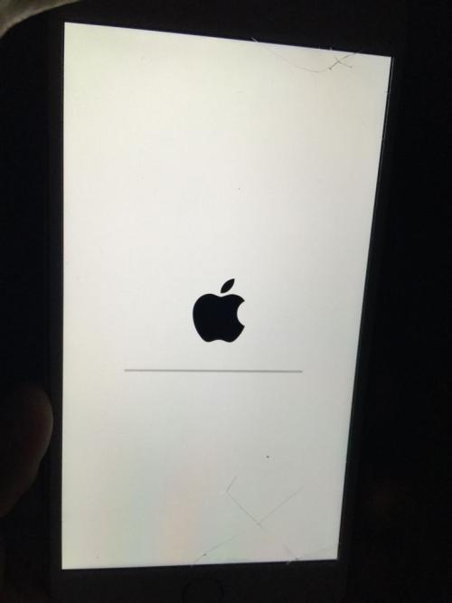ipad一直白苹果闪屏图标