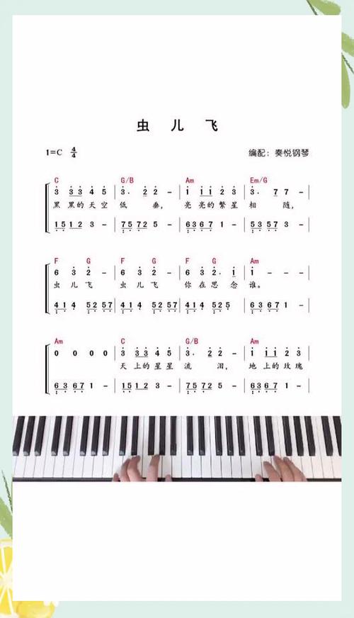 音乐简谱基础知识入门图标
