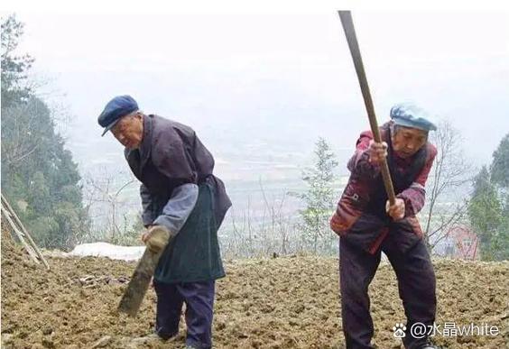 想回家种地享受田园生活图标