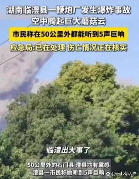 电视没有音频输出怎么办图标