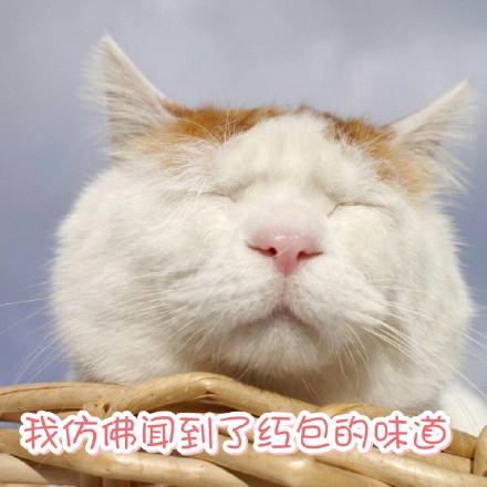 微信有问道表情包吗