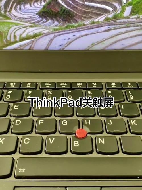 thinkpad在哪关闭触摸板图标
