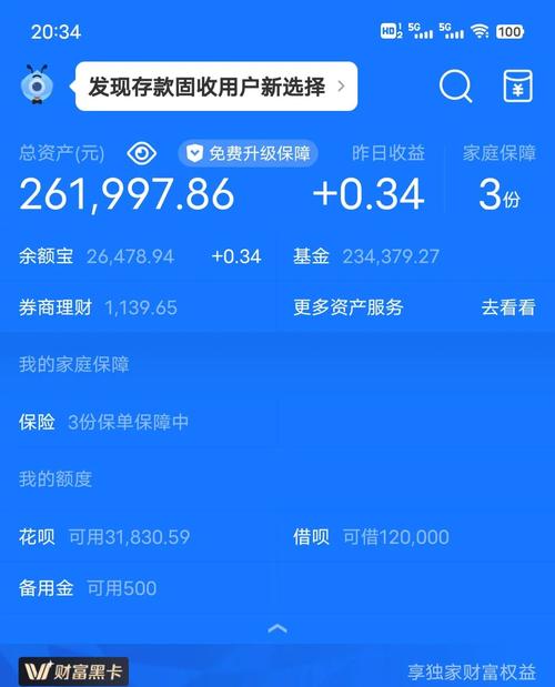 为什么支付宝总资产看不到截图