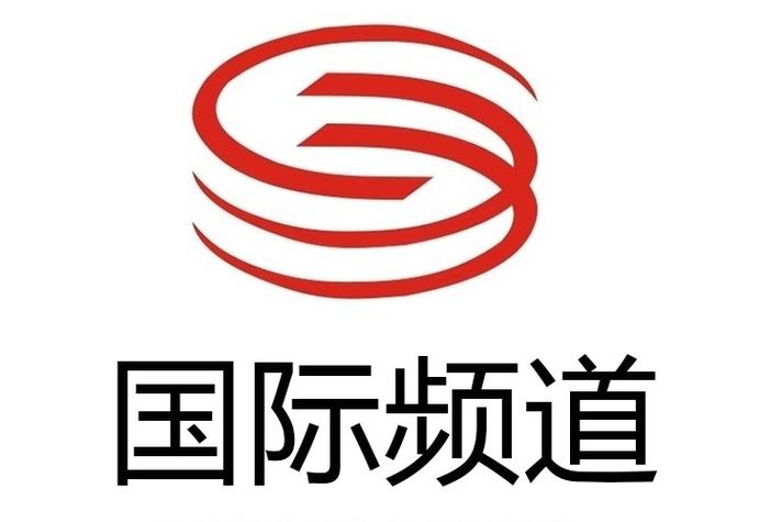 直播cctv4国际频道图标
