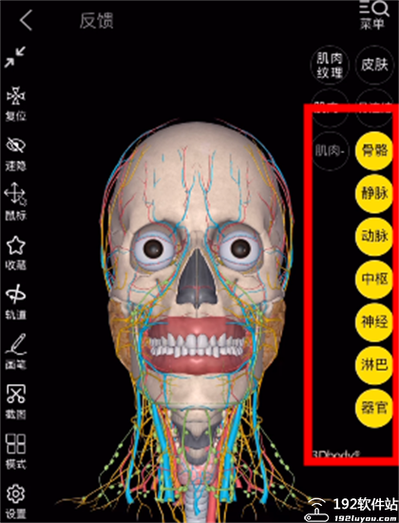 3dbody最新版本