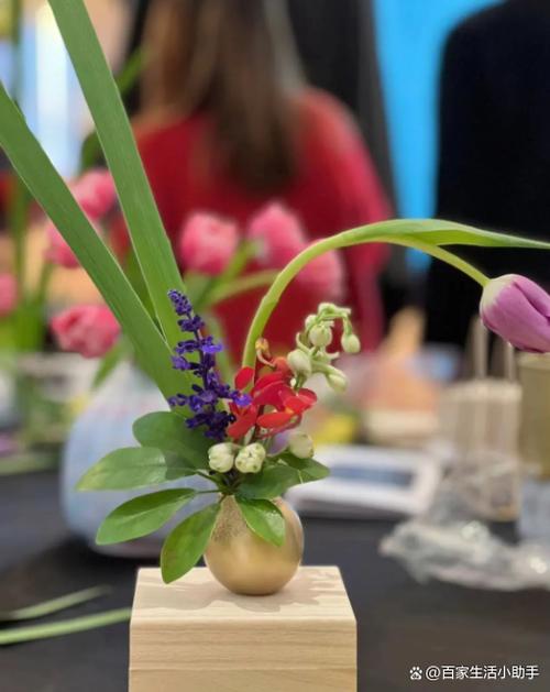 学花艺一般要学多久图标