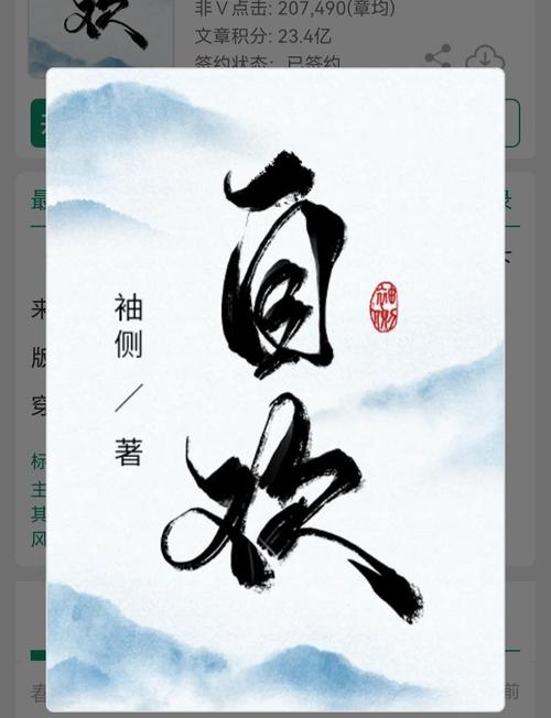 袖侧作品集截图
