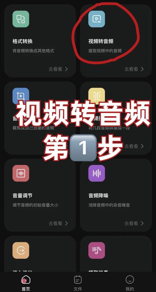 如何把录的视频变成音频图标