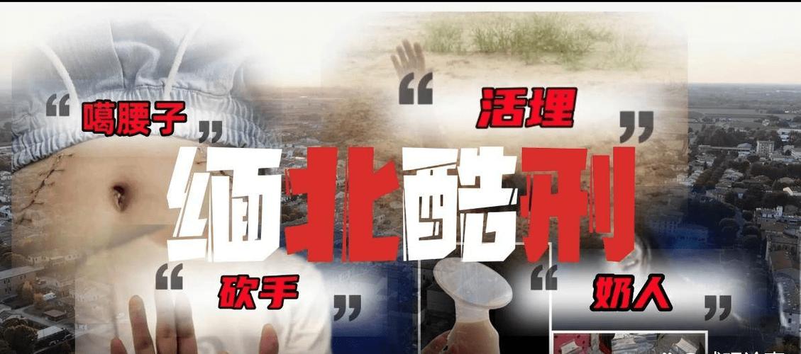 《缅北恶魔》完整版免费观看图标