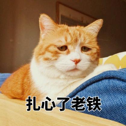 被屏蔽了扎心了老铁1100lu截图