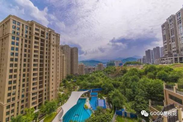 新版gogo攀枝花图标
