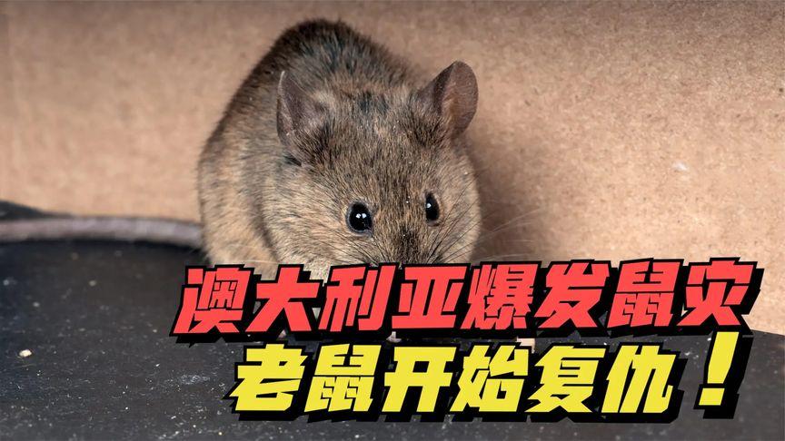 没有鼠标怎样删除电脑桌面的软件图标