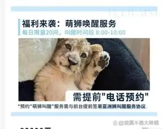叫醒服务一个月多少钱图标