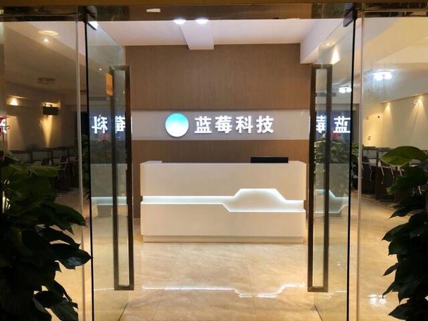 蓝莓网络科技有限公司截图