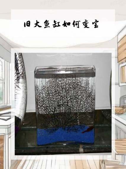 扔旧鱼缸的正确方法图标