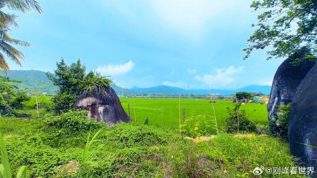 美丽乡村最火的一句图标