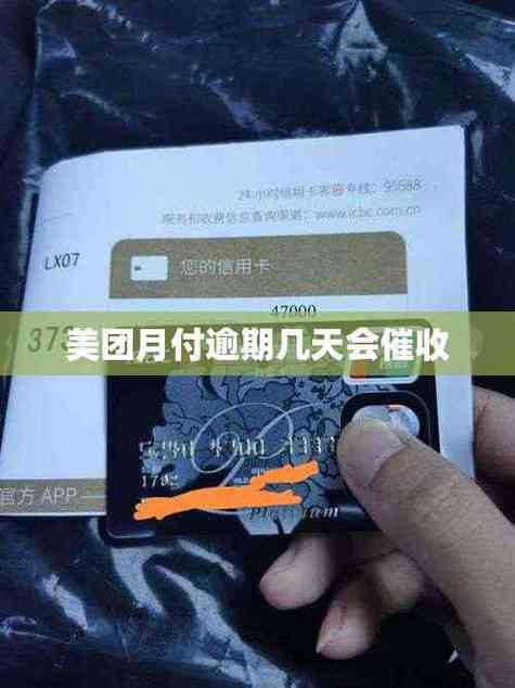 美团月付逾期三天图标