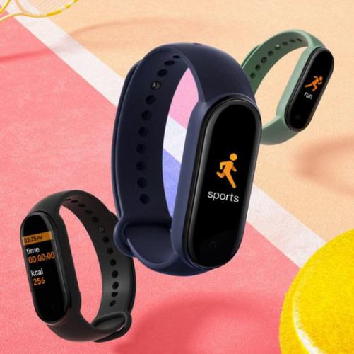 fitpro官网图标