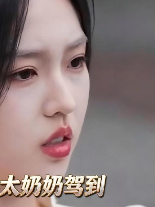 十八岁太奶奶第三季全集图标