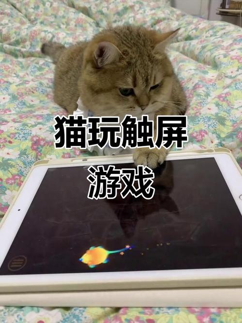 抓图猫安卓版本