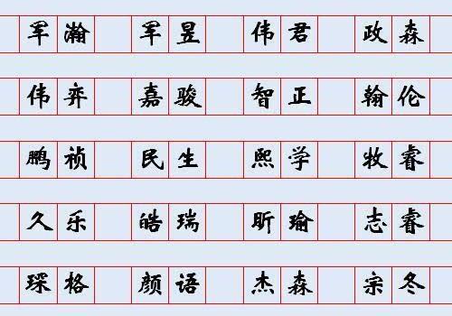 2019猪年男宝宝名字大全陈