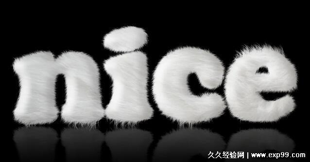 nice是漂亮的意思吗截图